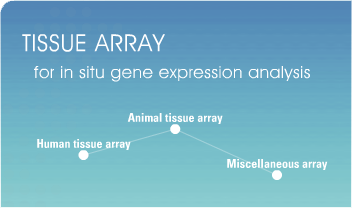 TissueARRAY :: SuperBioChips